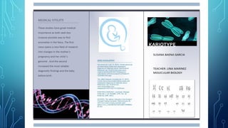 Karyotype final | PPT | Pregnancy | Reproductive Health