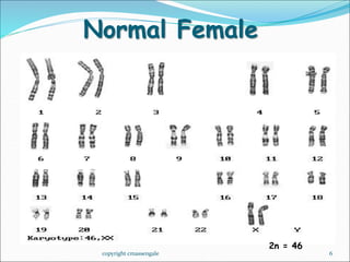 Karyotype lab ppt.ppt