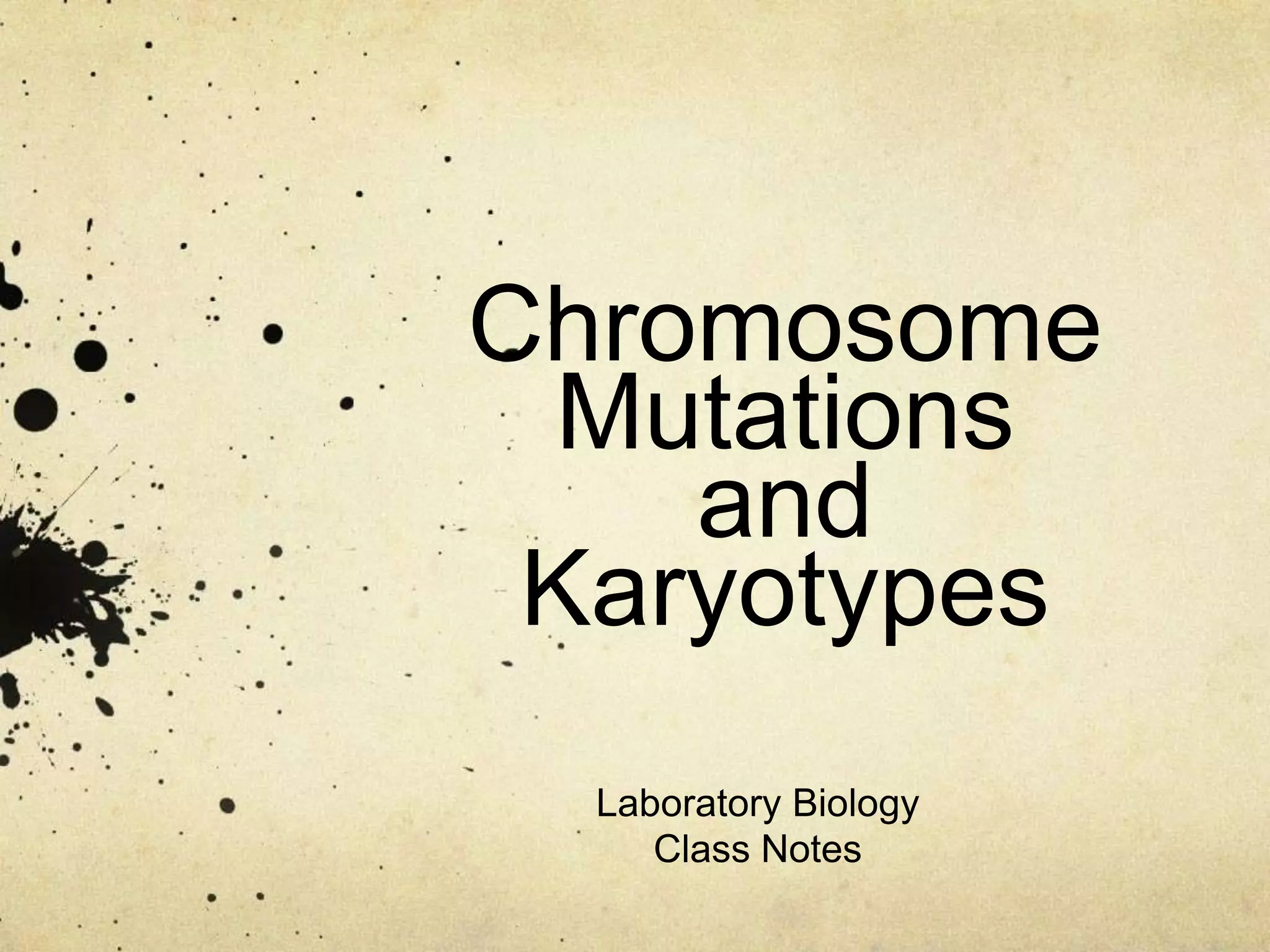 Karyotype notes | PPTX