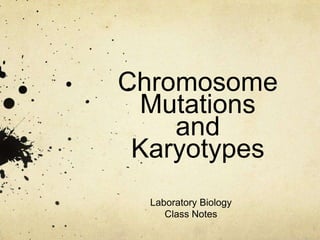 Karyotype notes | PPT