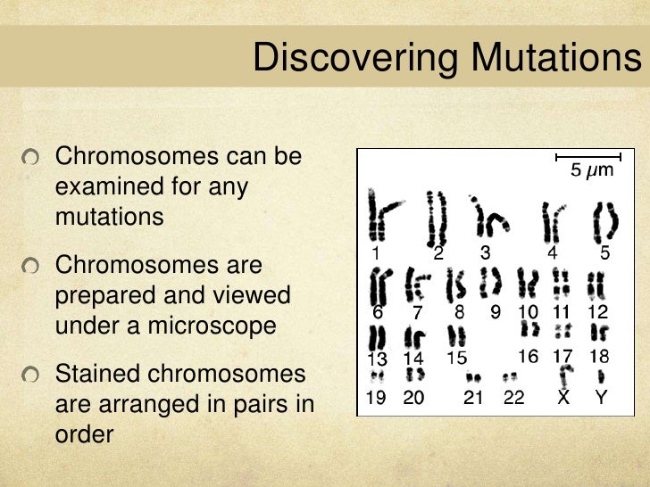 Karyotype notes