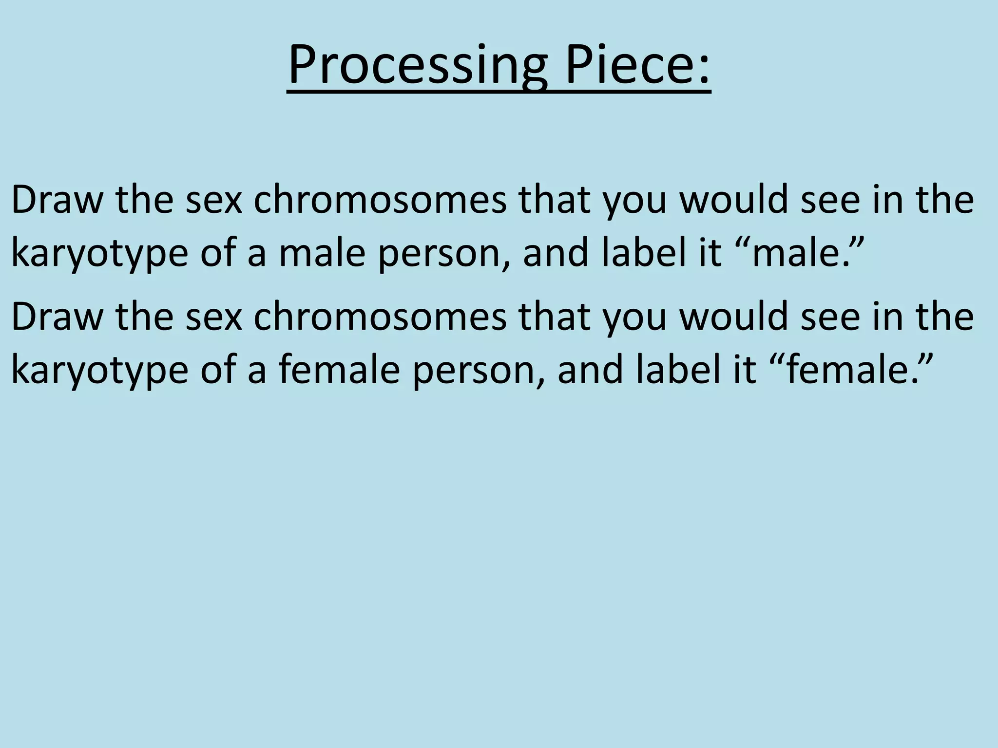 Karyotypes | PPTX