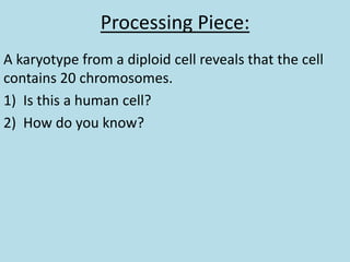 Karyotypes | PPT