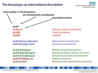 Karyotypes - Various | PPT