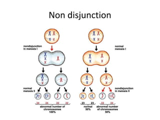 Karyotypes and dysmorphic features | PPT