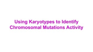 Karyotypes & Chromosomal Mutations Notes.pdf