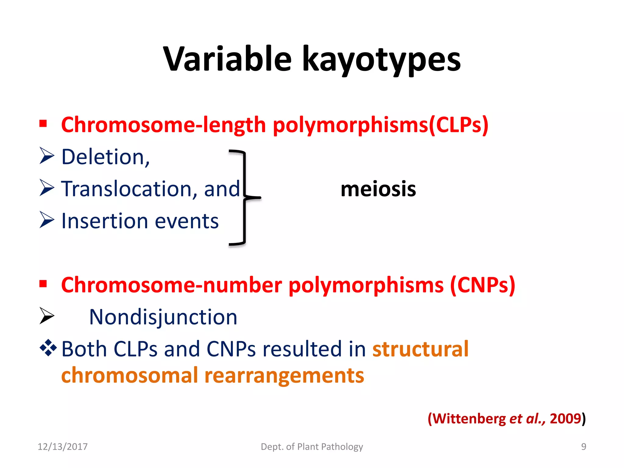 Karyotype variability in plant pathogenic fungi | PPTX