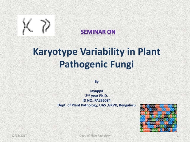 Karyotype variability in plant pathogenic fungi | PPT
