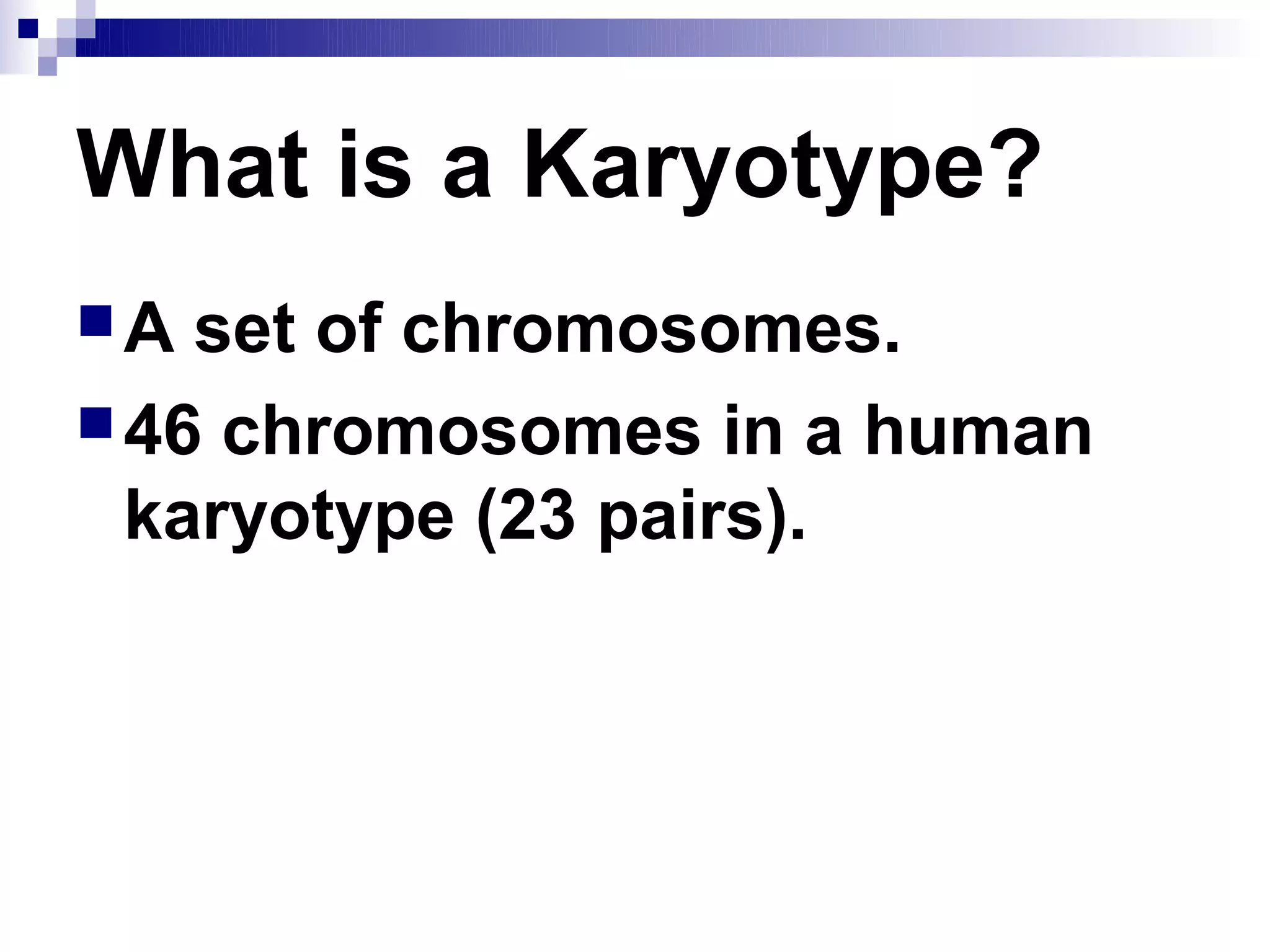 Karyotyping | PPT