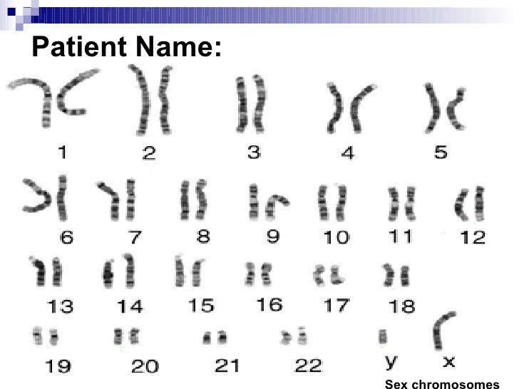 Karyotyping