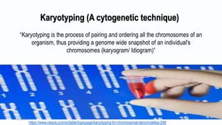 Karyotyping | PPTX