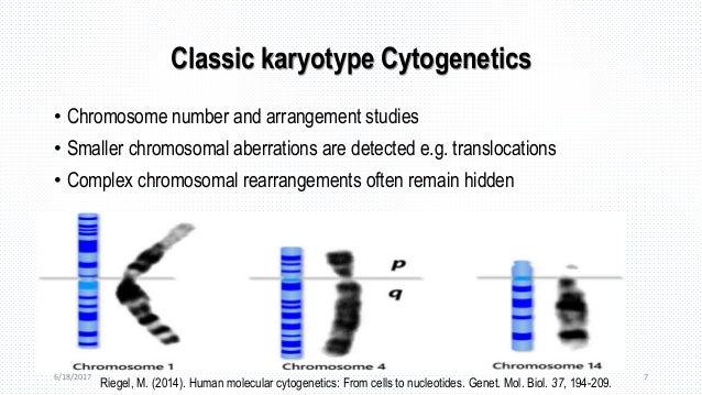 Karyotyping
