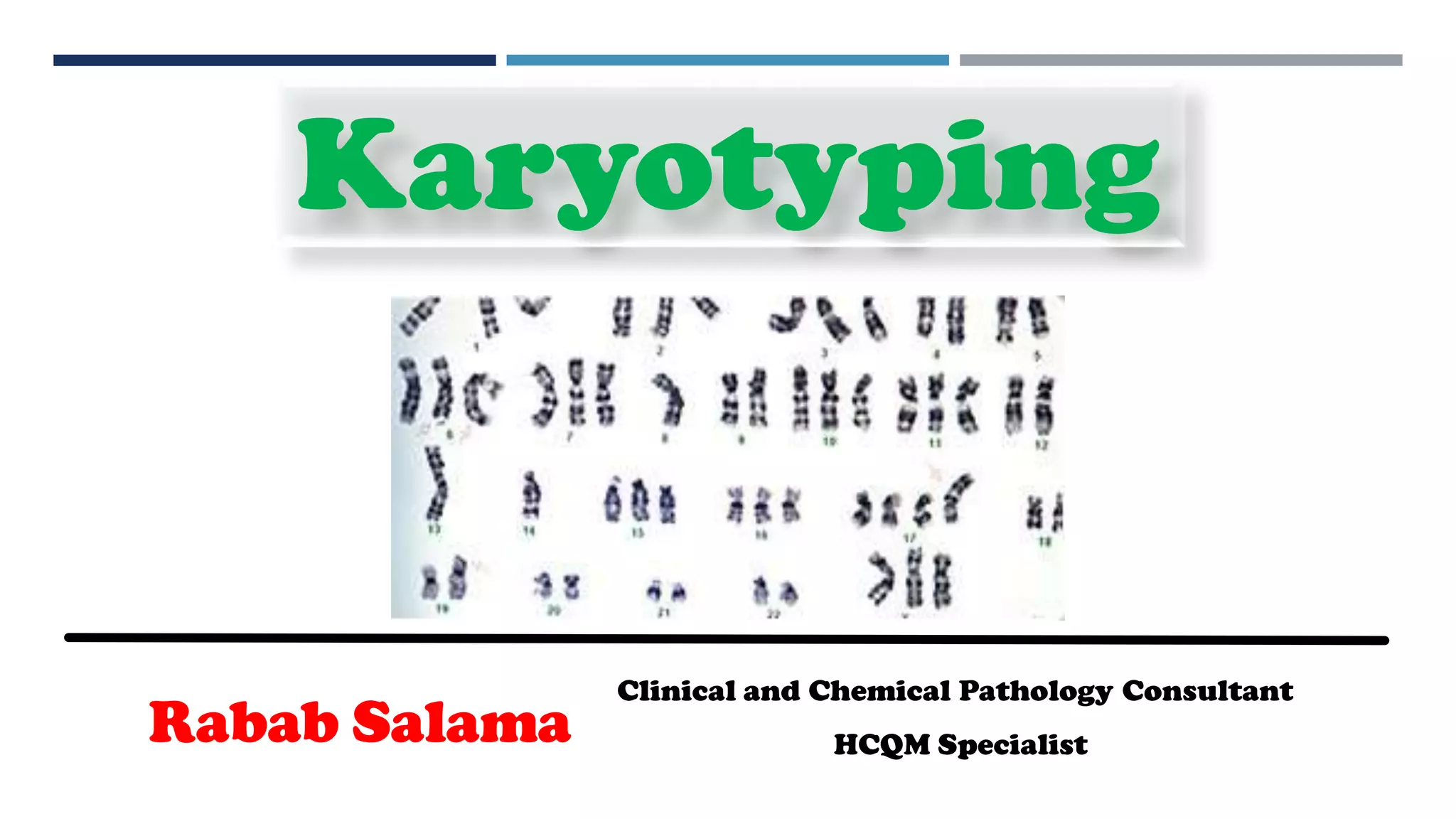 Karyotyping | PDF | Chemistry | Science