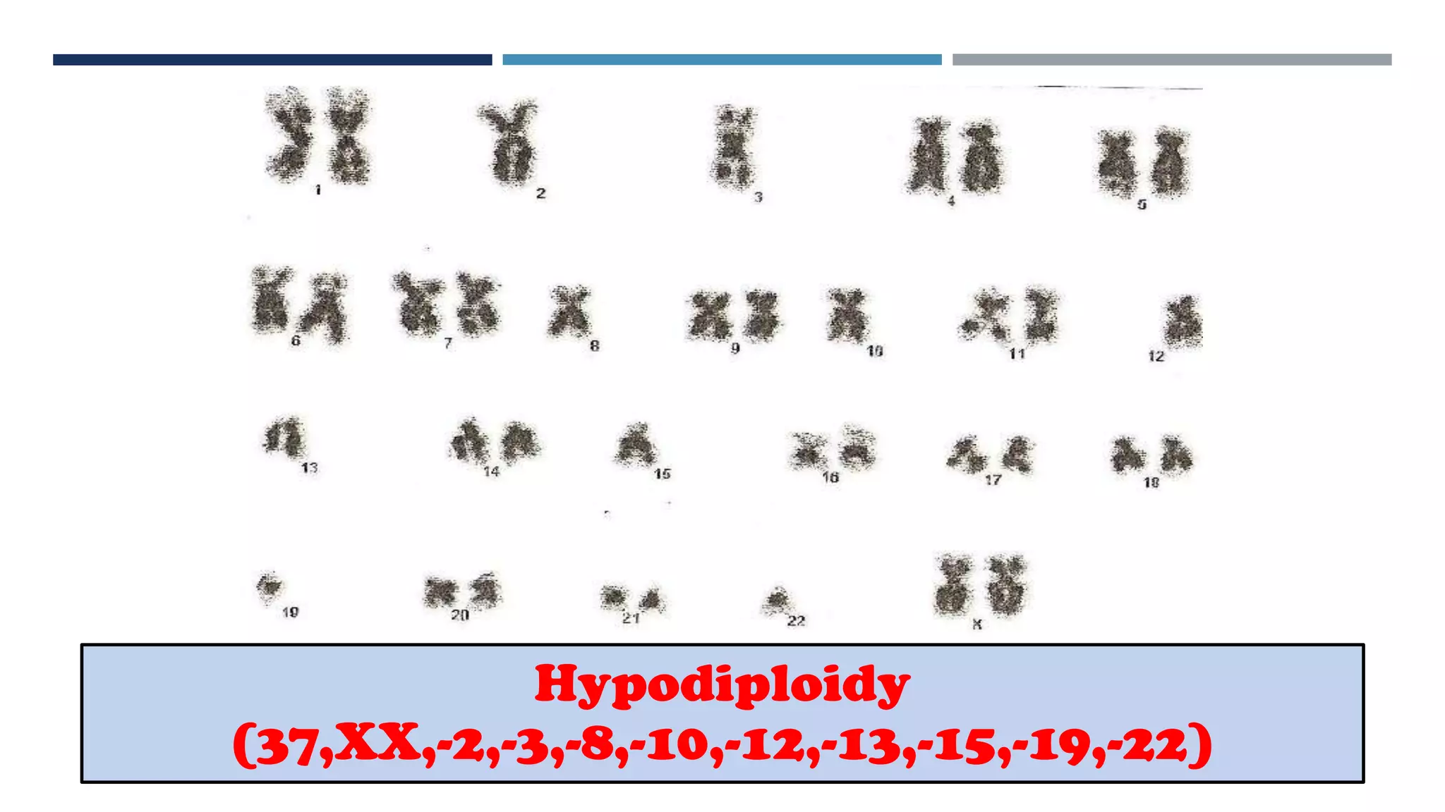 Karyotyping | PDF