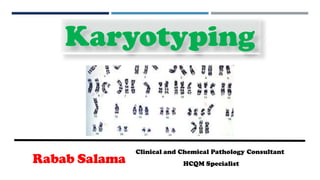 Karyotyping | PDF