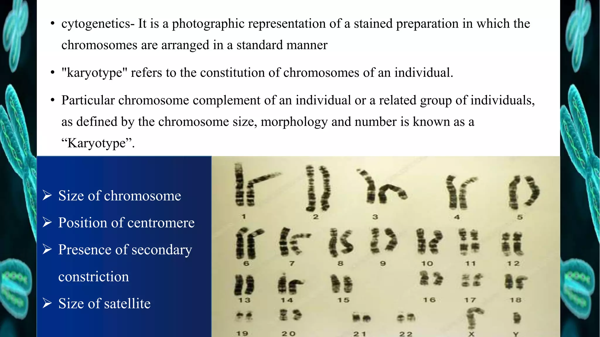 Karyotyping | PPTX