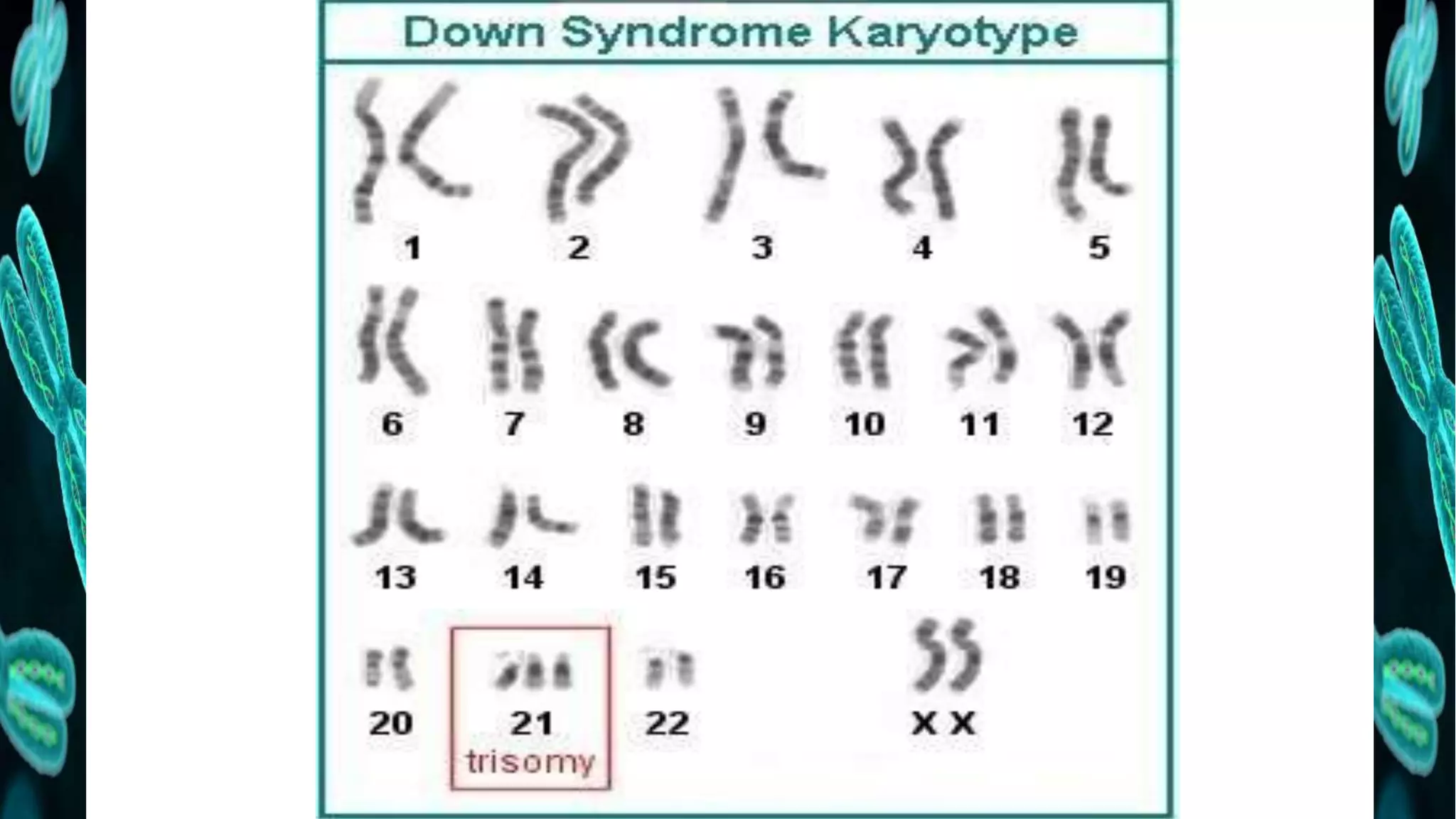 Karyotyping | PPTX