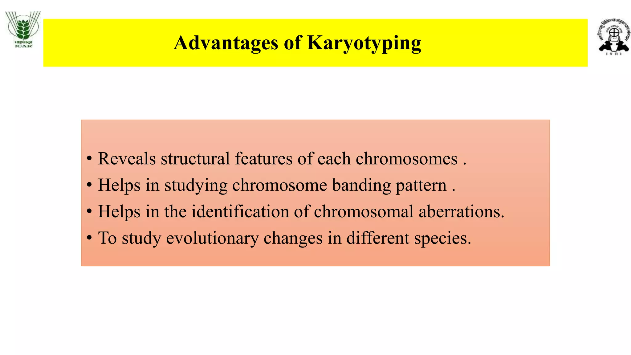 Karyotyping.pptx