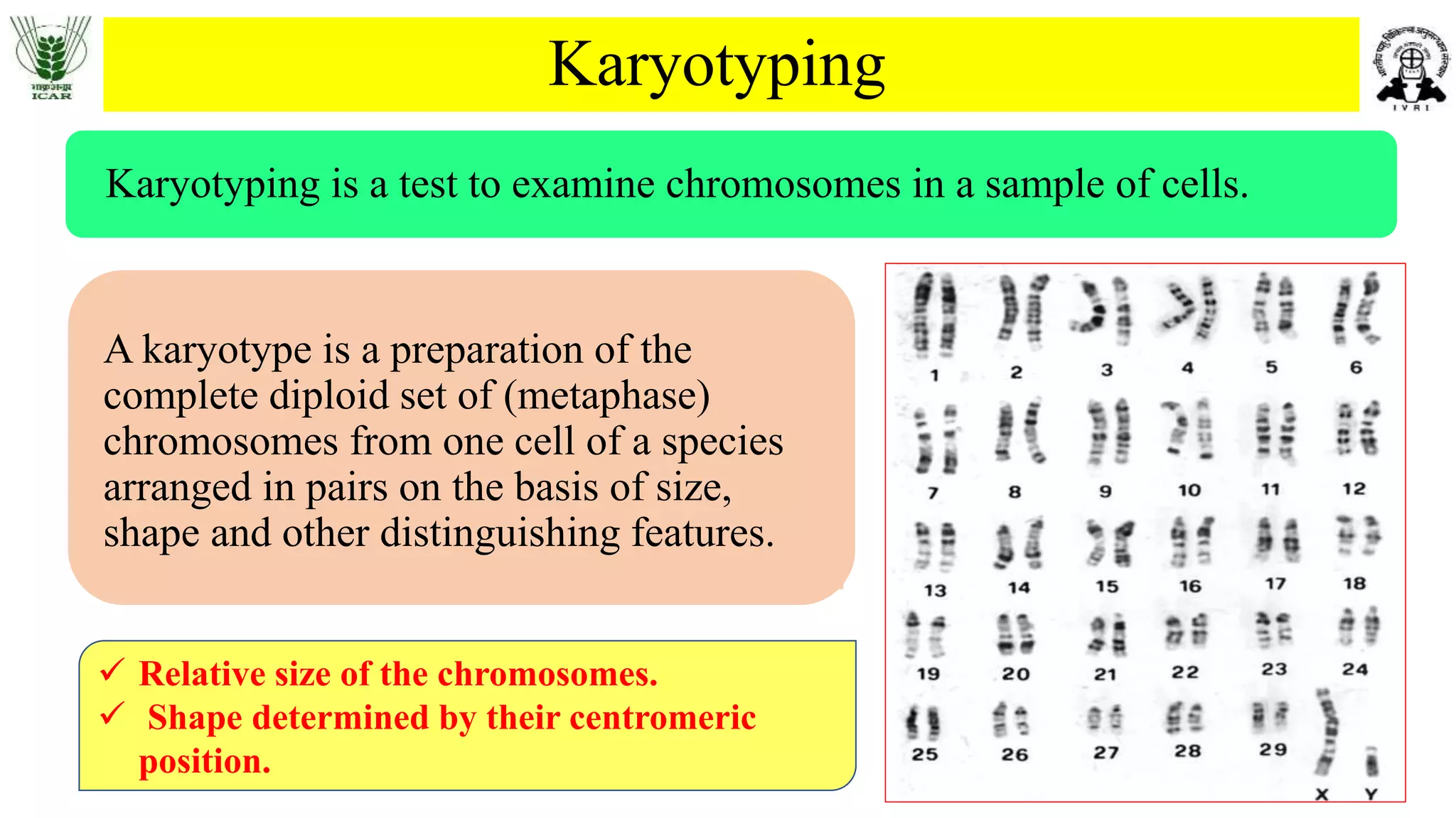 Karyotyping.pptx