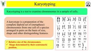 Karyotyping.pptx