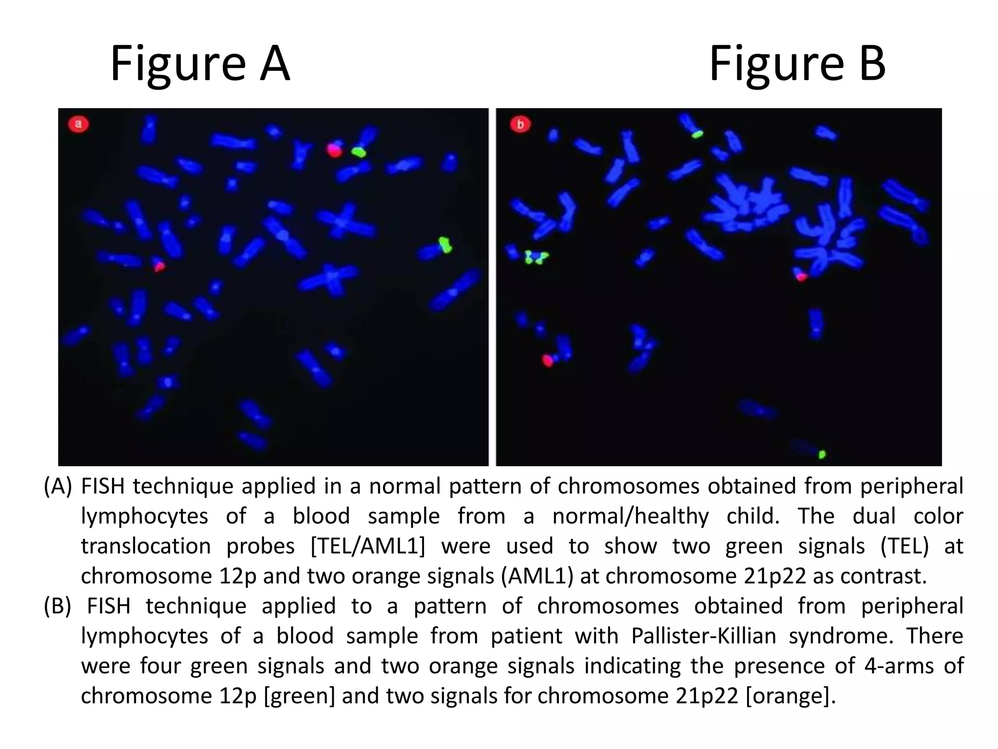 Karyotyping.pptx