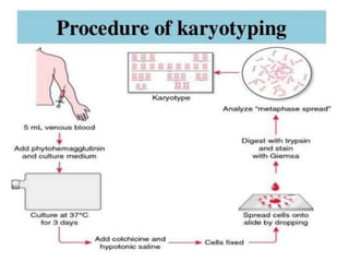 Karyotyping.pptx