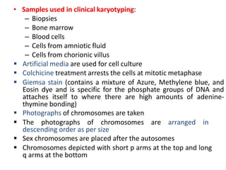 Karyotyping.pptx