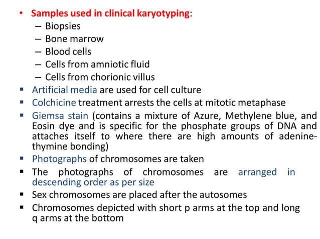 Karyotyping.pptx | Genetics | Science