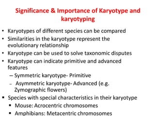 Karyotyping.pptx