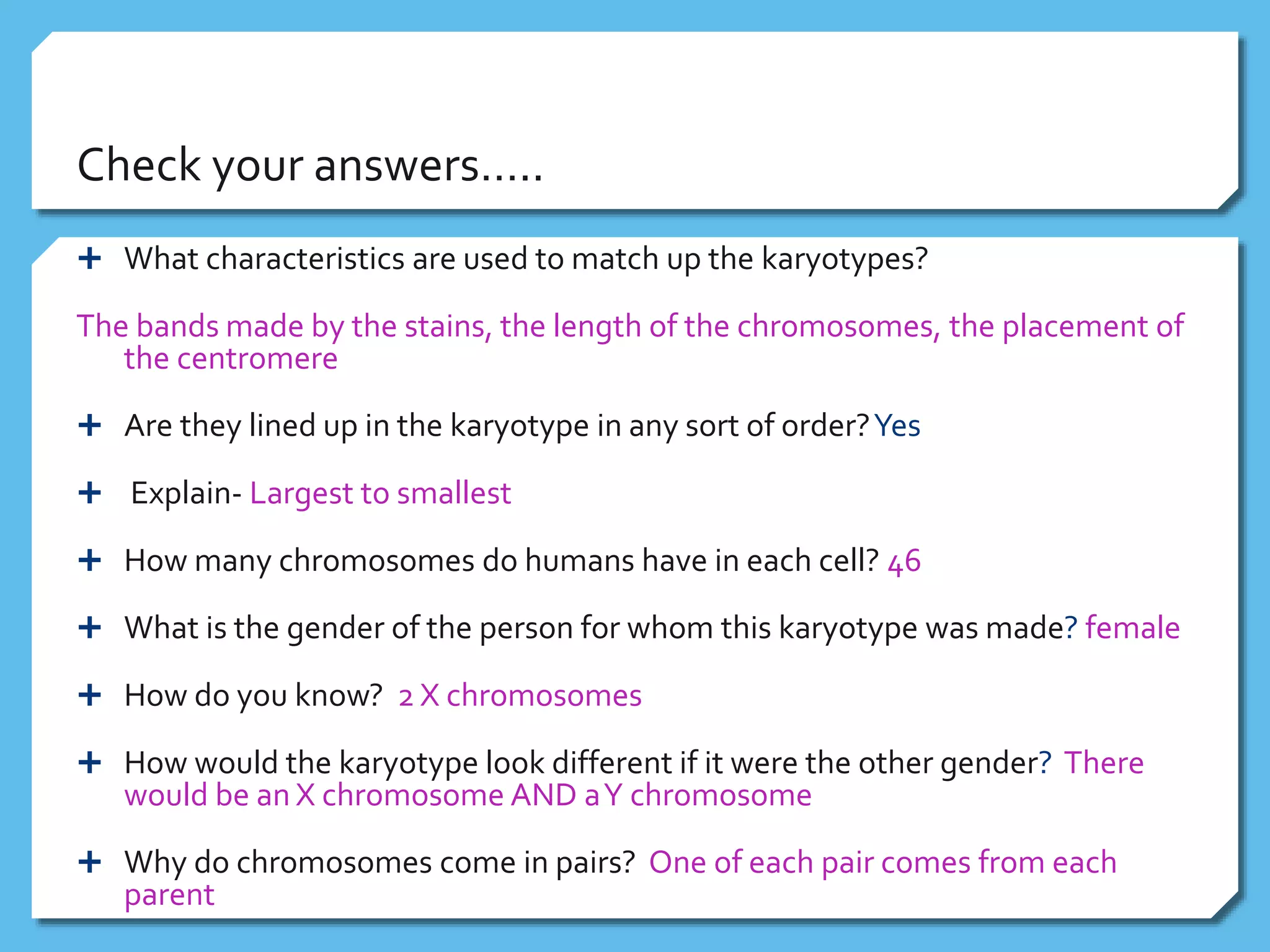 Karyotyping activitybiology2014 | PPTX