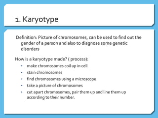 Karyotyping activitybiology2014 | PPT