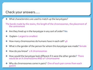 Karyotyping activitybiology2014 | PPTX