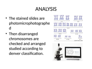KARYOTYPING AND Fluorescent ibsitu hybridization | PPTX