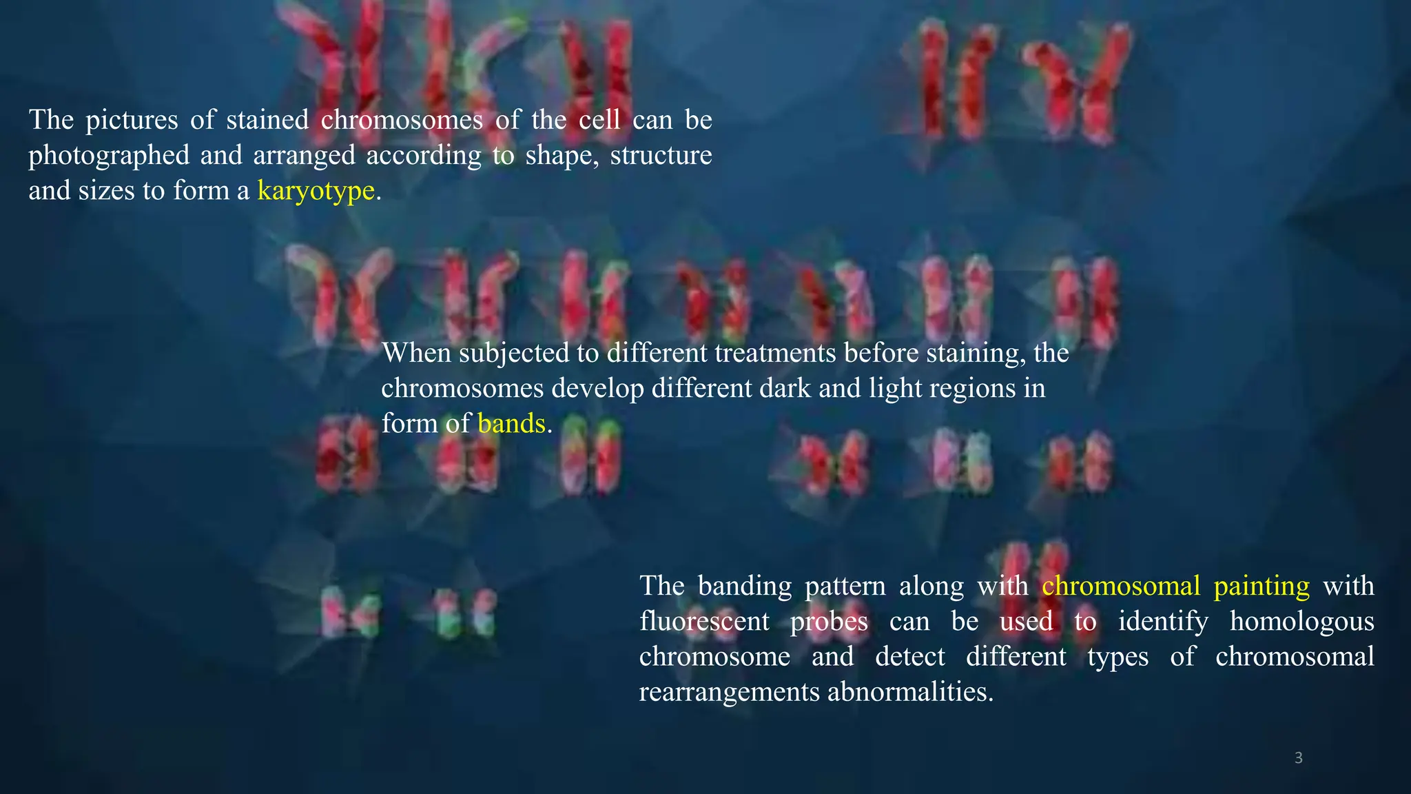 KARYOTYPING, CHROMOSOME BANDING AND CHROMOSOME PAINTING.pptx