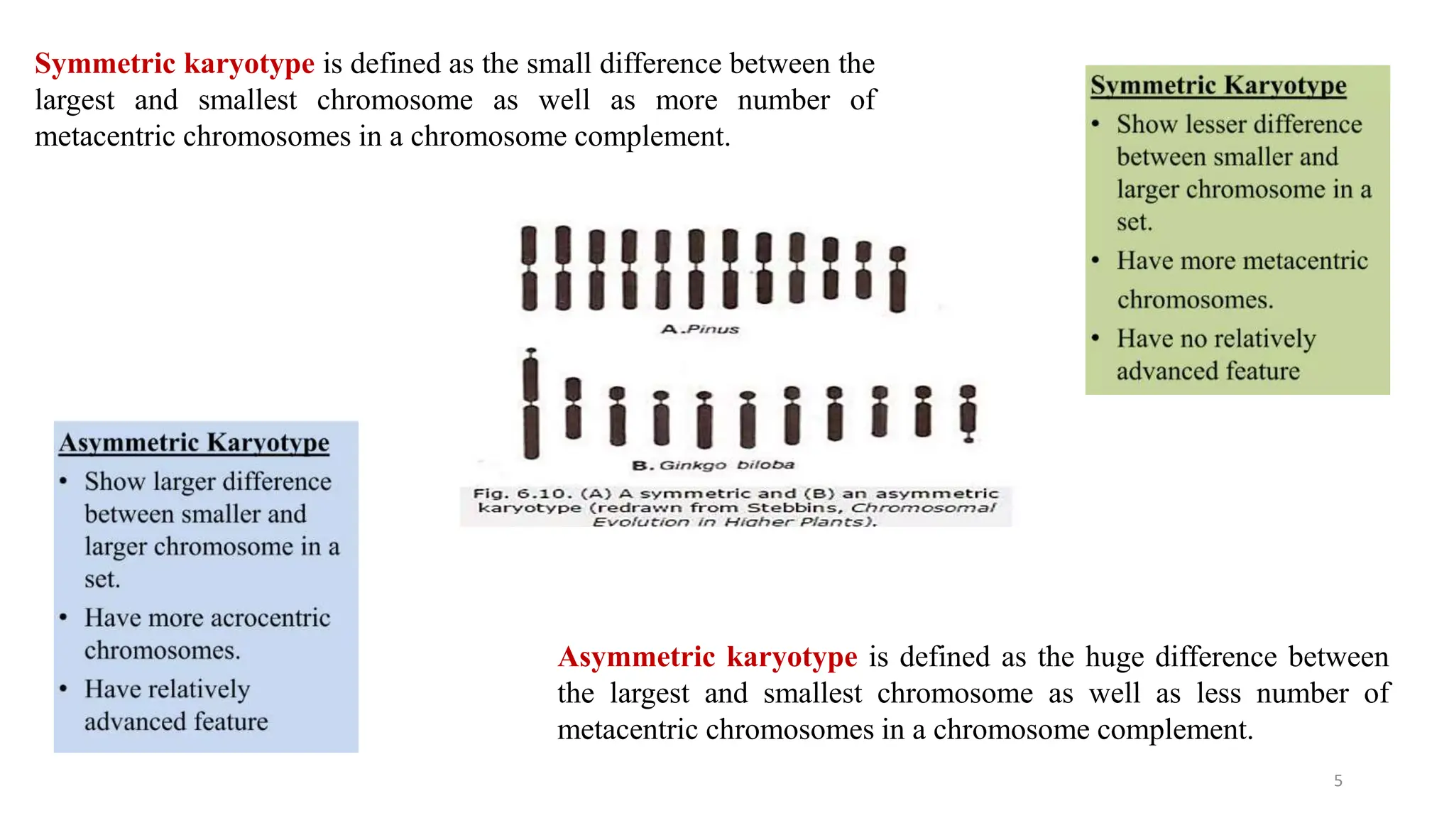 KARYOTYPING, CHROMOSOME BANDING AND CHROMOSOME PAINTING.pptx