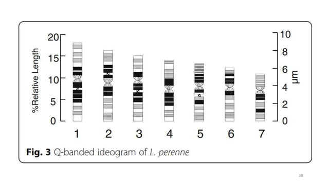 KARYOTYPING, CHROMOSOME BANDING AND CHROMOSOME PAINTING.pptx | Genetics ...