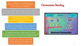 KARYOTYPING, CHROMOSOME BANDING AND CHROMOSOME PAINTING.pptx