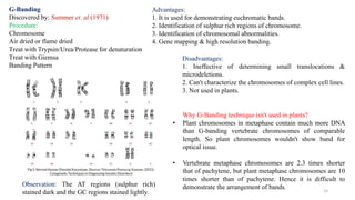 KARYOTYPING, CHROMOSOME BANDING AND CHROMOSOME PAINTING.pptx