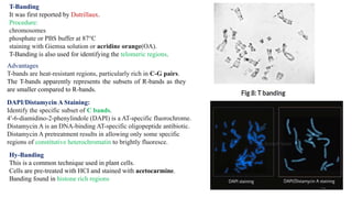 KARYOTYPING, CHROMOSOME BANDING AND CHROMOSOME PAINTING.pptx