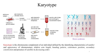 KARYOTYPING, CHROMOSOME BANDING AND CHROMOSOME PAINTING.pptx