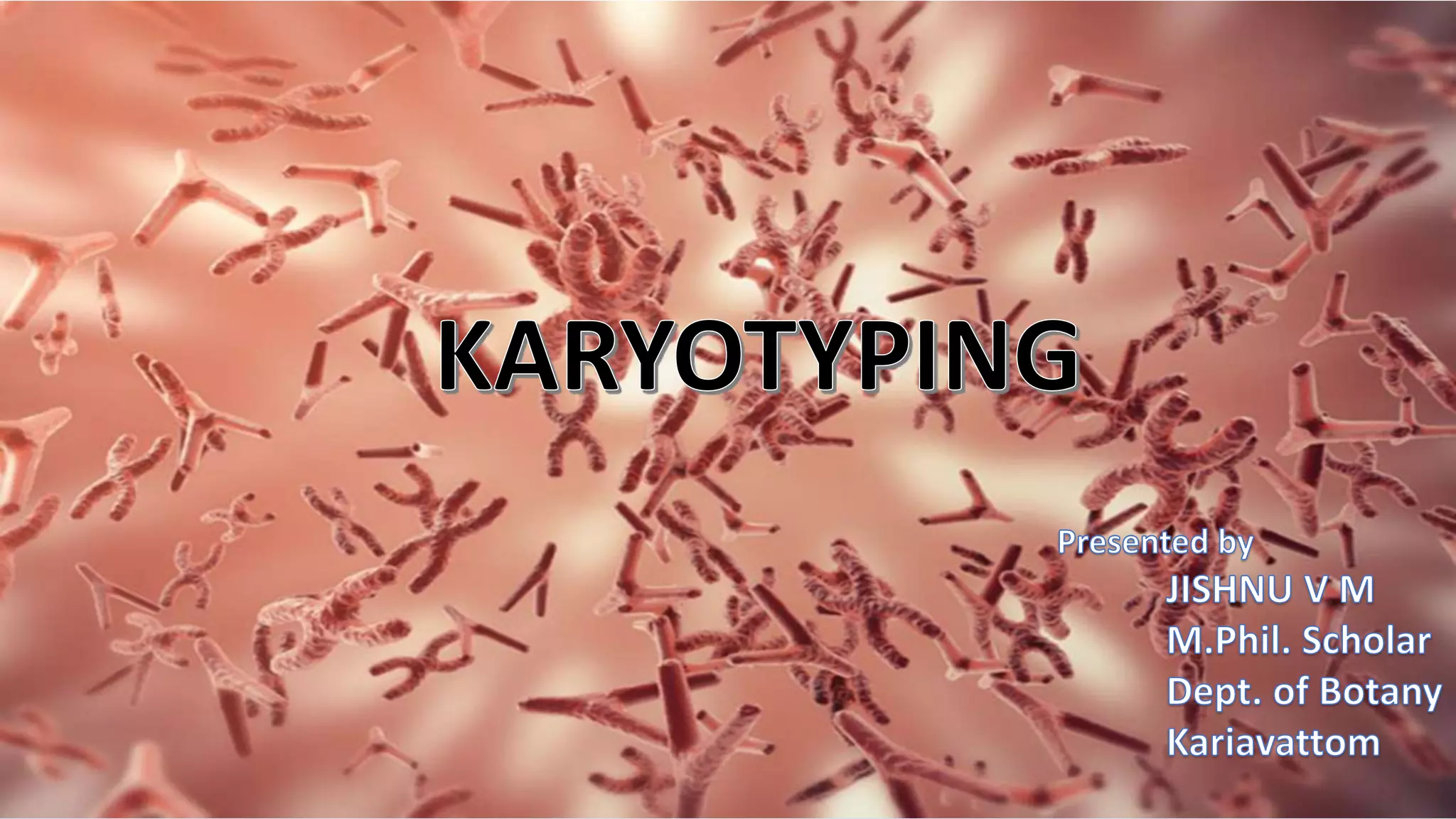 Karyotyping | PPTX