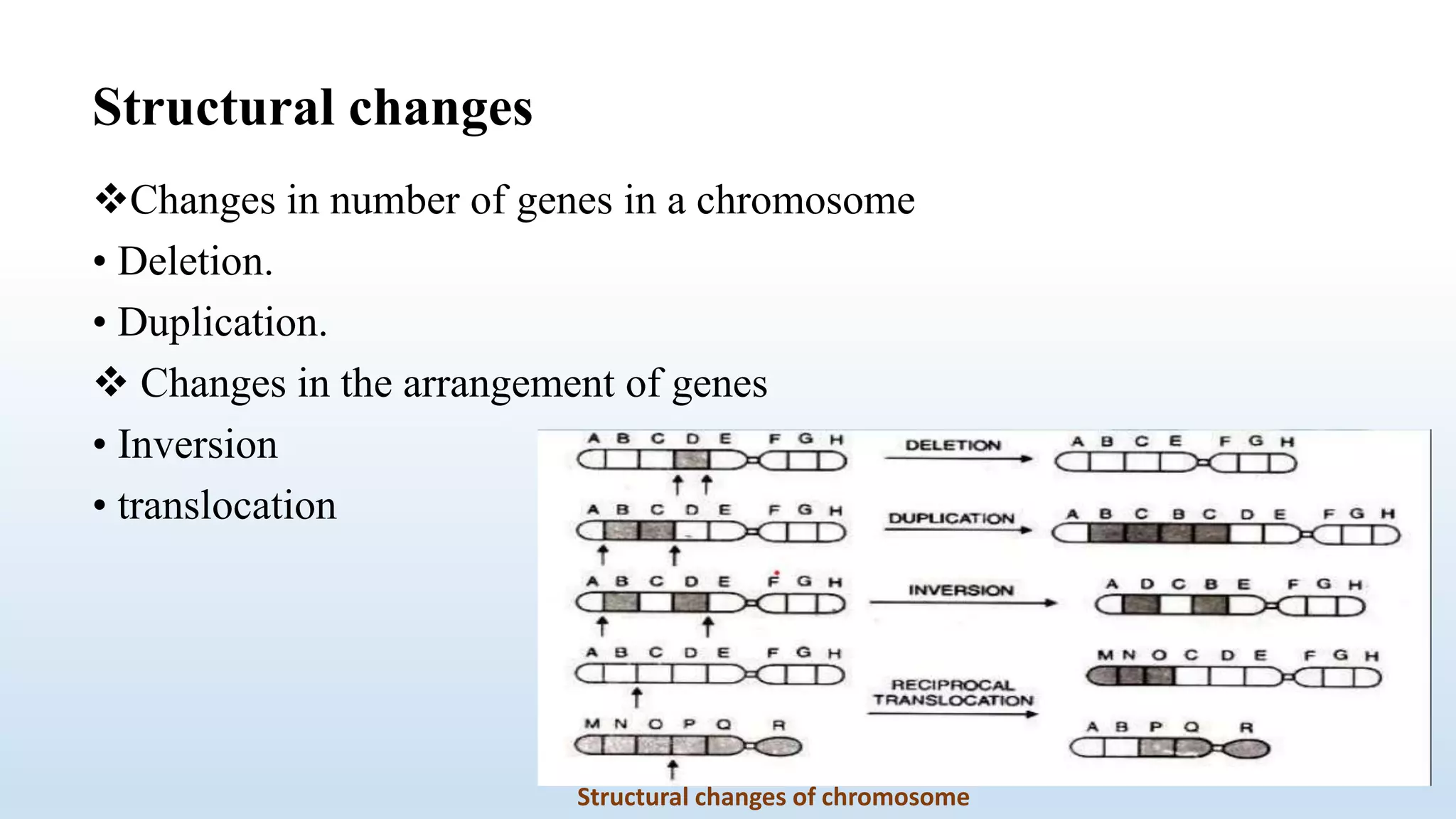 Karyotyping | PPTX