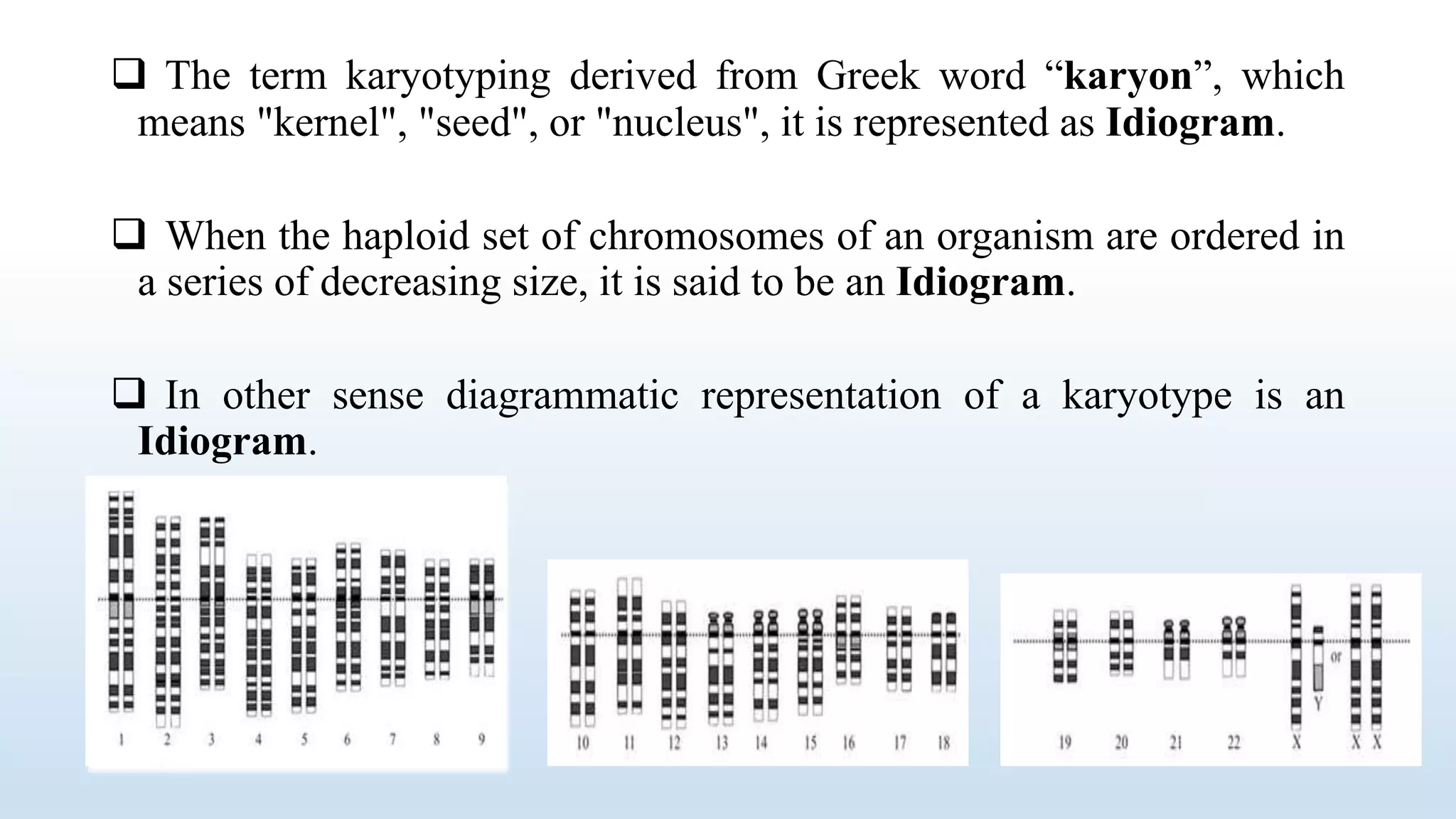 Karyotyping | PPTX