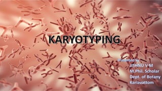 Karyotyping | PPT
