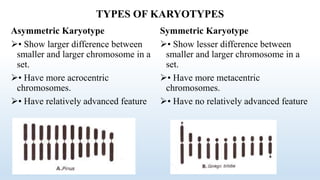 Karyotyping | PPTX