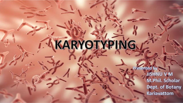 Karyotyping: Chromosome Analysis and Detection of Abnormalities | PPT