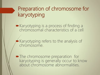 Human Karyotype ( Chromosomes) | PPTX
