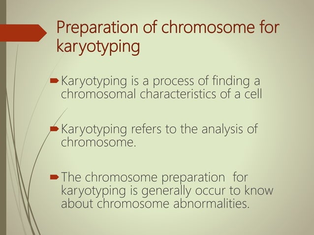 Human Karyotype ( Chromosomes) | PPTX | Biological Sciences | Science