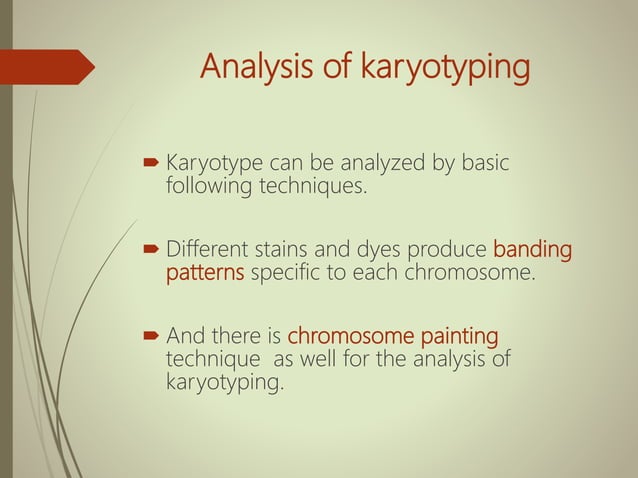 Human Karyotype ( Chromosomes) | PPTX | Biological Sciences | Science