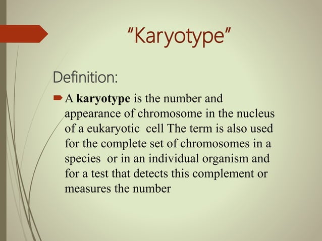 Human Karyotype ( Chromosomes) | PPTX | Biological Sciences | Science